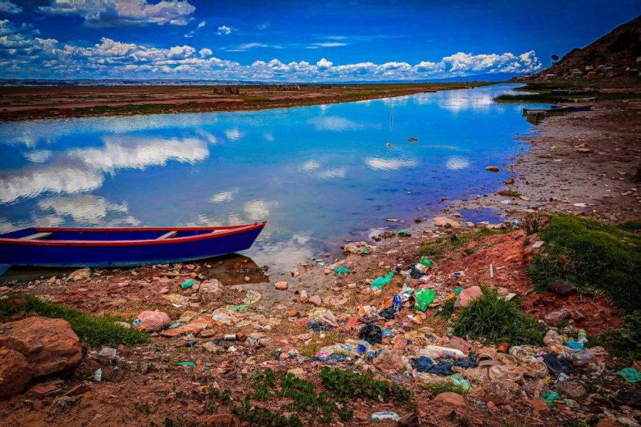 Titicaca: su lago menor agoniza por la contaminación - VISOR21